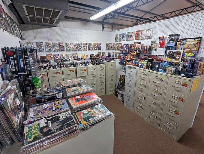 Comic book heaven for grown-up kids with disposable income. Those filing cabinets aren't storing tax returns&mdash;they're safeguarding illustrated adventures waiting for their next reader. 