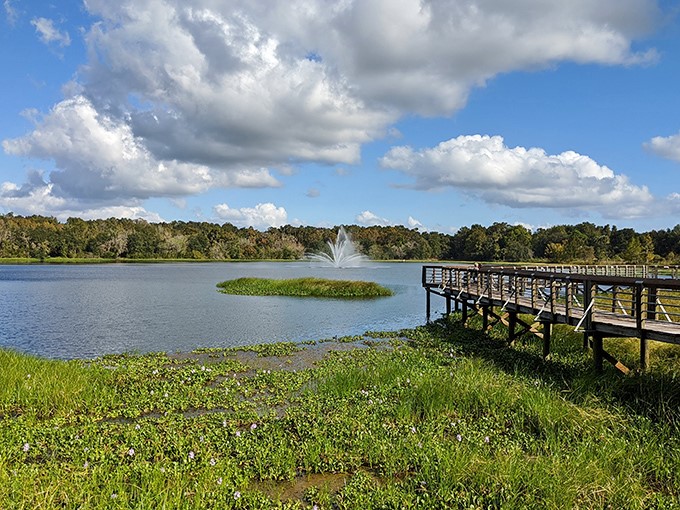Cooter Pond Park offers a slice of tranquility with its fountain centerpiece &ndash; proof that sometimes the best entertainment is simply watching ripples dance across water.