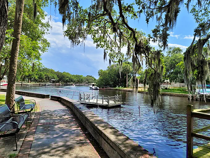 Riverside benches that don't judge if you nap after lunch. The Cotee River provides a peaceful backdrop for daily life in New Port Richey.