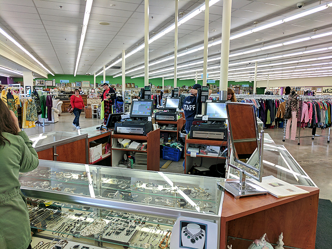 The jewelry counter: where vintage brooches and costume necklaces wait patiently for their second act on your lapel or neckline.