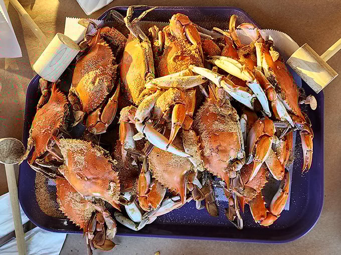 Blue crab nirvana! These seasoned beauties, dusted with that magical spice blend, are what Delaware dreams are made of.