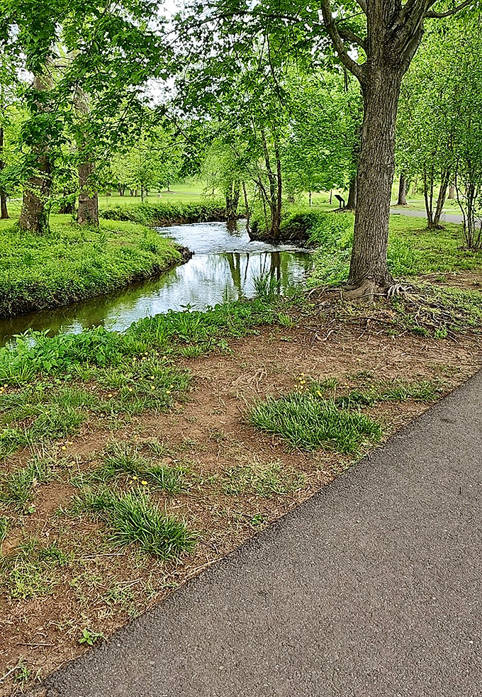 Nature's version of a spa day &ndash; this tranquil stream along Culpeper's Greenway Trail whispers promises of serenity that no meditation app can match.