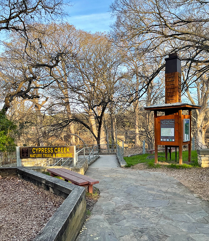 Follow the path where cypress trees arch overhead like nature's own cathedral, welcoming you to tranquility.
