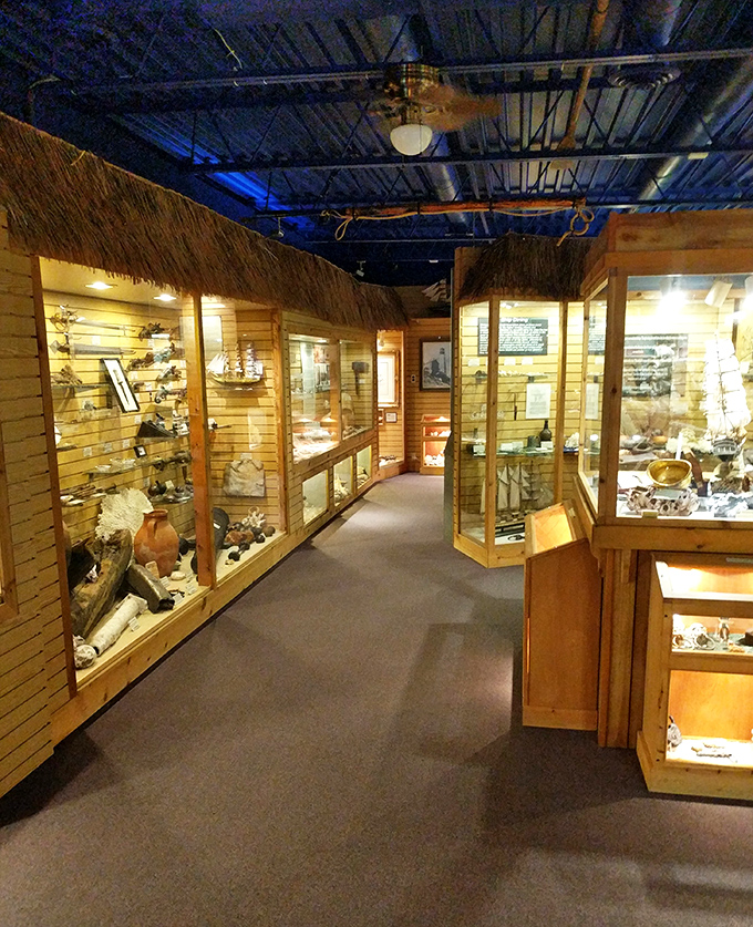 The DiscoverSea Shipwreck Museum houses treasures from beneath the waves, proving that history's most fascinating stories often lie just offshore.