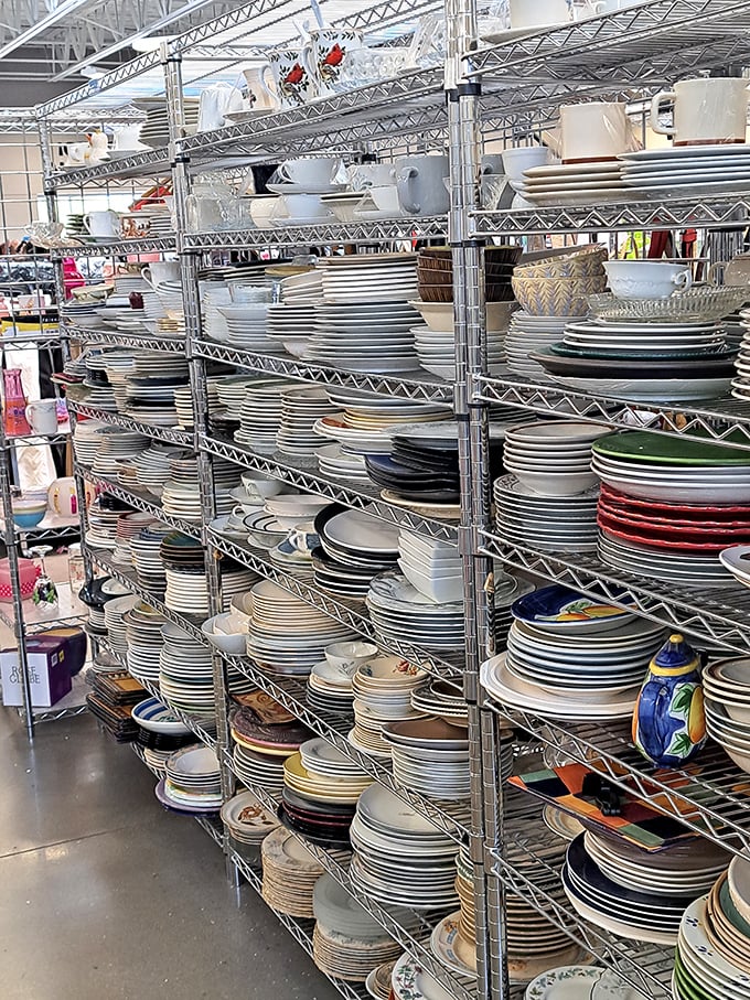 Dish paradise! More plates than a circus performer could spin, from grandma-chic florals to sleek modern designs waiting for your dinner party debut.