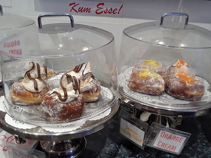 These aren't just donuts&mdash;they're edible time machines that transport you back to when calories didn't count and happiness came dusted with sugar.