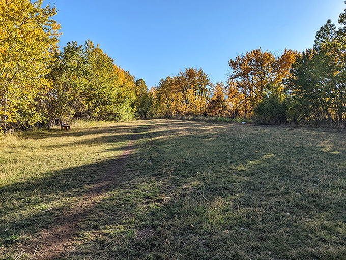 Autumn paints the landscape in golden hues, creating nature's perfect walking path. Even Thoreau would put down his pen and just stare.