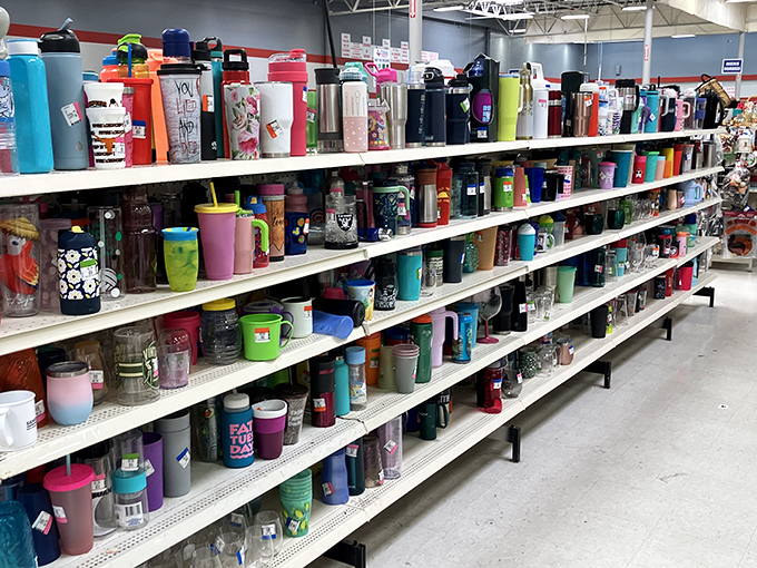 The travel mug section alone could hydrate a small nation. Every color, style, and questionable corporate event giveaway has found its final resting place here.