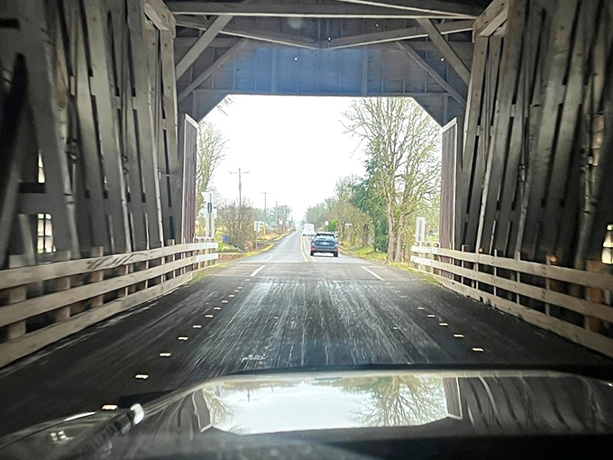 The view from behind the wheel offers a unique perspective—wooden planks rumbling beneath tires while sunlight filters through in a mesmerizing dance of shadows.