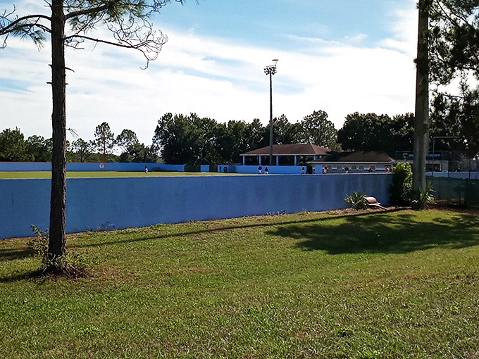Where future MLB dreams take shape under the Florida sun, Eagle Lake's baseball park offers a refreshingly affordable alternative to $200 spring training tickets.