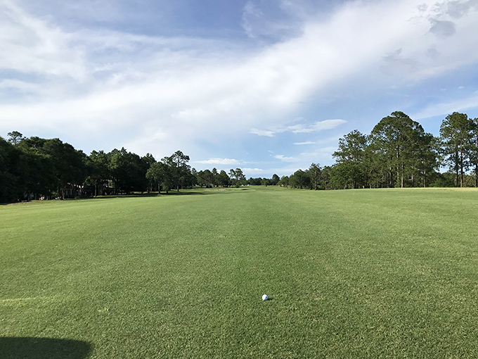 Eagle Springs Golf Course offers the kind of lush green expanse where even terrible golfers (like me) can pretend they're on the PGA tour.