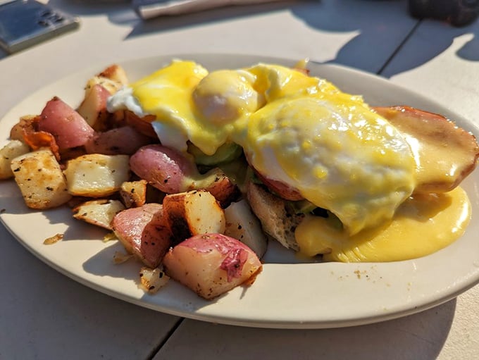 Behold the Benedict in its natural glory &ndash; hollandaise cascading like a golden waterfall over perfectly poached eggs, with home fries that didn't come from a freezer bag.