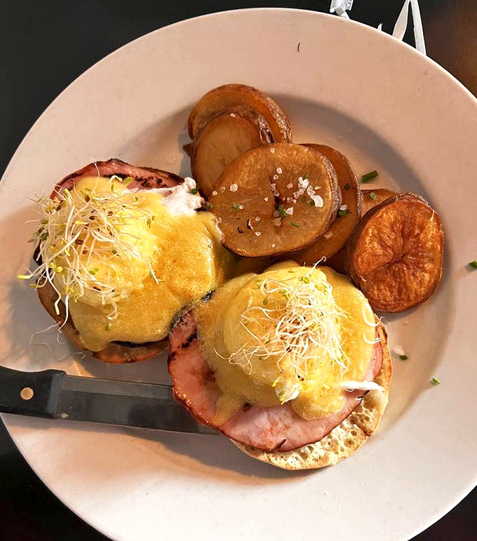 Behold: the Classic Benedict in all its glory. That hollandaise sauce cascades like a yellow waterfall of happiness, making Monday feel like Saturday.
