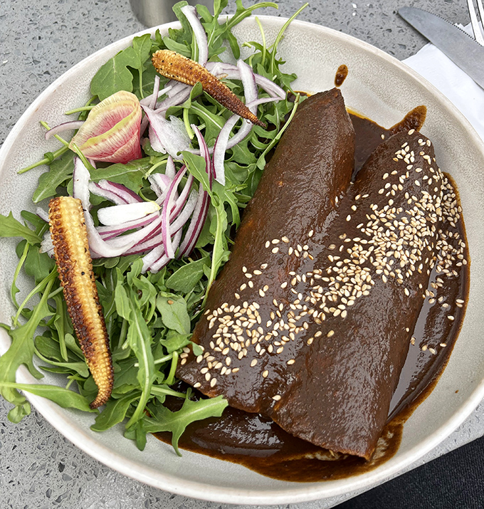 Mole so glossy you could check your reflection, sesame seeds scattered like stars across a chocolate universe. Worth crossing state lines for.
