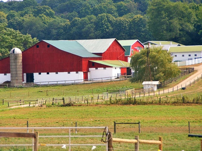 Red barns against green pastures create the classic American rural tableau that city dwellers dream about during their bumper-to-bumper commutes.