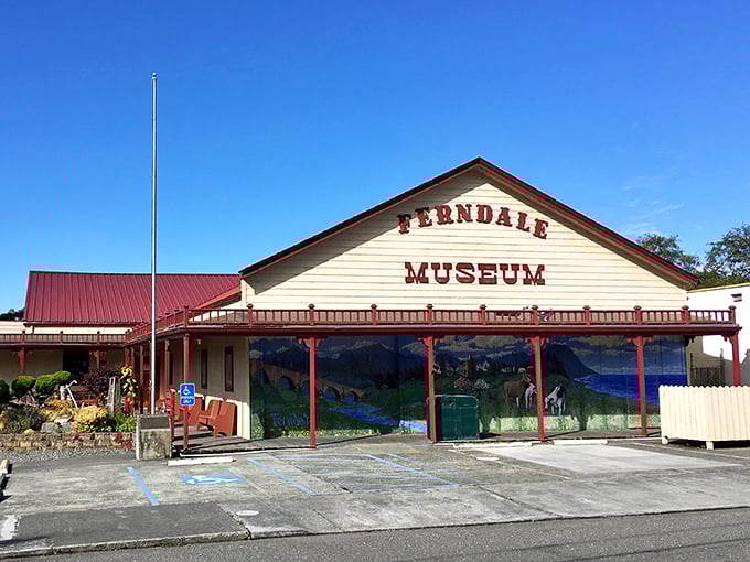 The Ferndale Museum: where history isn't just preserved, it's celebrated. This charming building houses the collective memory of a town that refuses to forget its dairy-rich past.