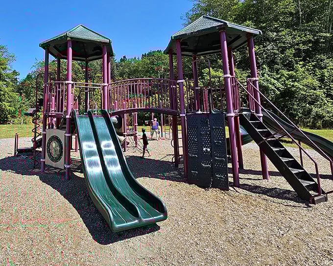 This playground might be modern, but it sits nestled among ancient redwoods—where kids can burn energy while parents soak in that pristine Humboldt air.
