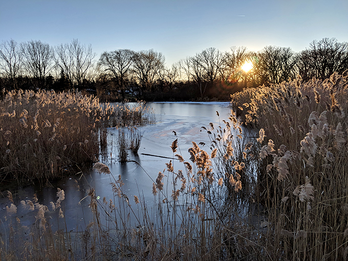 Winter's golden hour transforms this frozen pond into nature's snow globe. Serenity now, in a landscape Thoreau would have added to his Instagram.