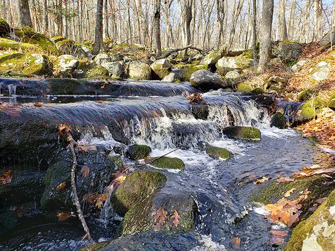 Where moss-covered rocks create nature's own staircase, complete with a babbling brook soundtrack.