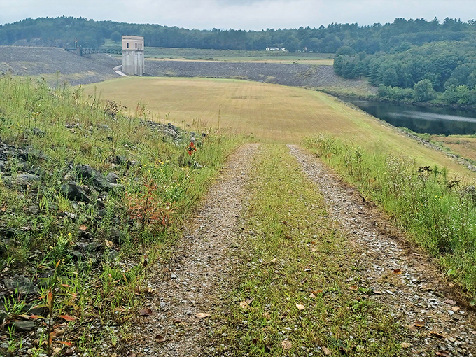 Nature's retirement plan includes scenic trails like this one. No membership fees required&mdash;just comfortable shoes and an appreciation for quiet beauty.
