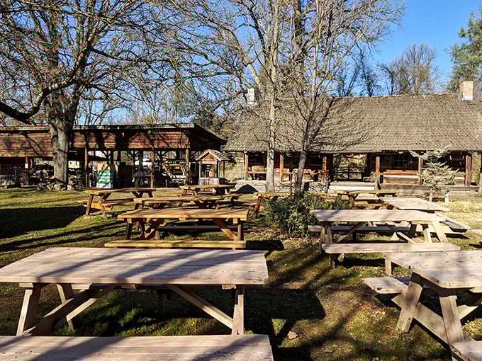 Picnic tables await under oak trees at Fresno Flats Historical Park, where history lessons come with fresh air instead of museum admission tickets.