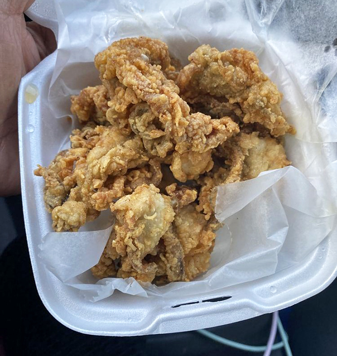 Golden fried oysters that could make a coastal grandmother weep with joy and maybe a little jealousy.