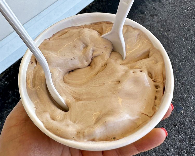 Silky, dense, and impossibly smooth&mdash;this isn't just frozen custard, it's edible velvet. The texture alone explains why people willingly wait in summer heat.