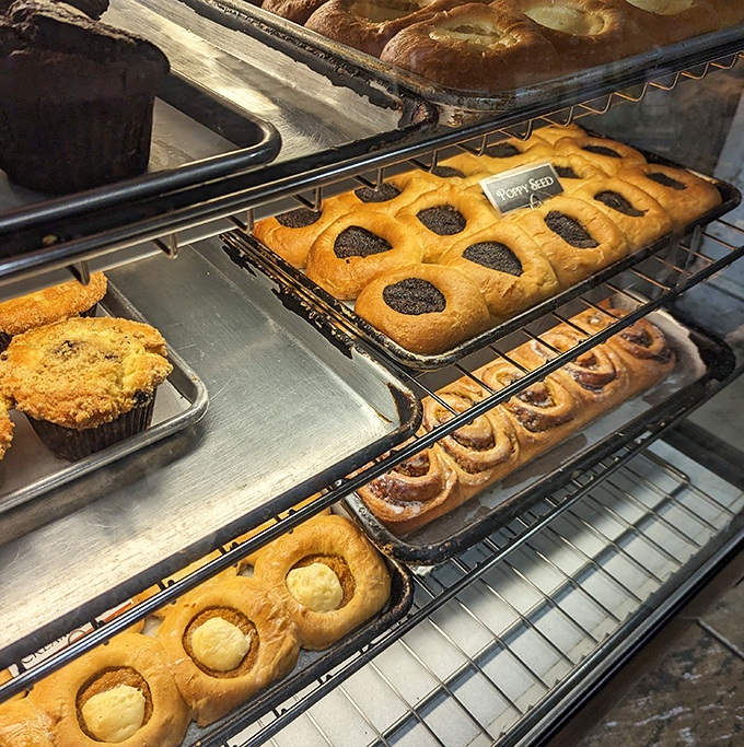 Behold the pastry case of dreams! Golden-brown kolaches with their signature divots of fruit preserves wait patiently for their moment of glory.