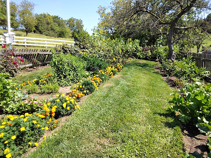 Garden paths where marigolds and vegetables coexist peacefully&mdash;a diplomatic achievement modern politicians could learn from.