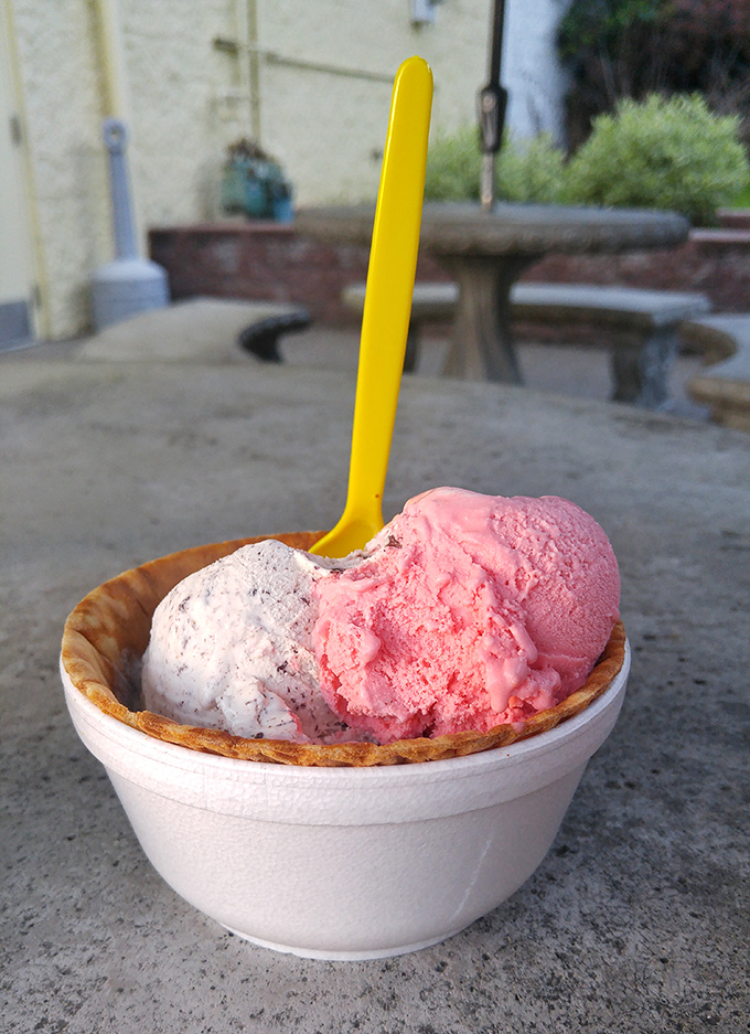 Two scoops of pure joy nestled in a waffle bowl. If Michelangelo sculpted desserts instead of marble, this would be his David.