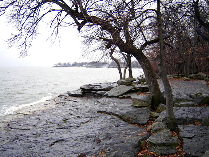 Winter transforms Marblehead's rocky shores into a moody landscape painting where bare trees frame the steel-gray waters of Lake Erie.