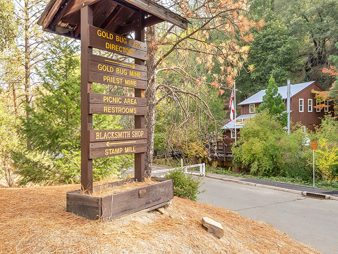 Gold Bug Park's wooden signpost &ndash; where "choose your own adventure" meets actual California history. No CGI needed for this authentic Gold Rush experience!