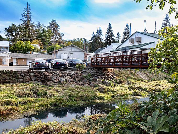 A peaceful creek meanders through town, offering a tranquil counterpoint to Sutter Creek's gold-rush history. Nature's version of a workplace water cooler for 19th-century miners.