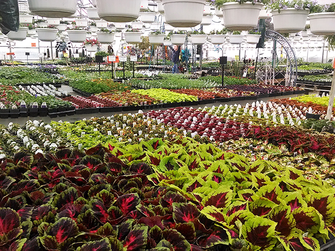 A kaleidoscope of living color awaits at this greenhouse, where plants aren't just inventory&mdash;they're tended with the kind of care most of us reserve for pets.