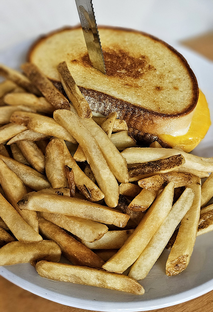 This isn't just a grilled cheese &ndash; it's a masterpiece of melted perfection flanked by golden fries, the kind that makes you wonder why you ever ate anything else.