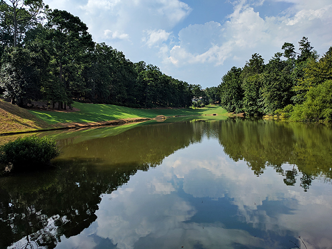 Reflections double the beauty at this serene Guntersville inlet, where nature provides the kind of peaceful vista that no amount of therapy can replicate.