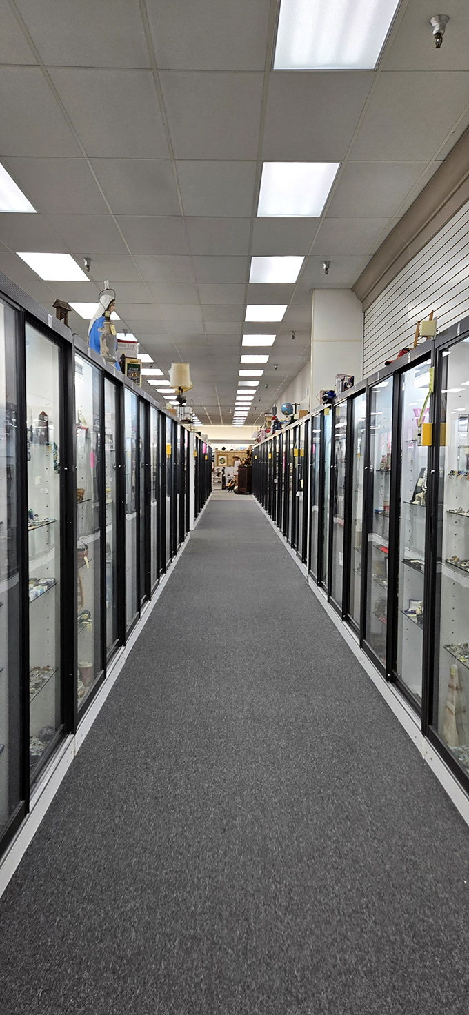 Display cases line this corridor like a museum where everything has a price tag and a story to match.