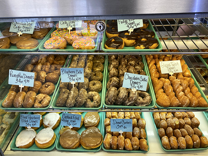 This donut case looks like someone organized happiness into neat rows &ndash; pumpkin, blueberry cake, chocolate cake, all waiting patiently.