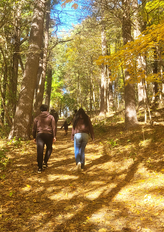 Nature's cathedral awaits hikers on Spring Green's trails, where dappled sunlight creates a stained-glass effect more moving than any church window.