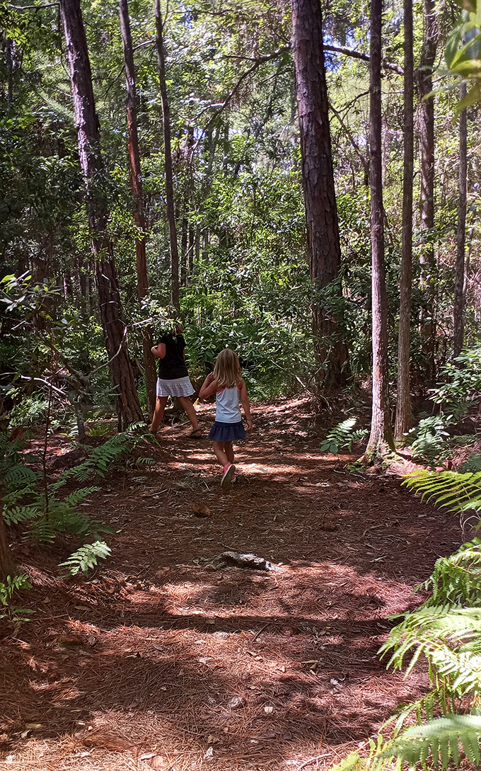 Nature trails just minutes from historic sites offer a shady respite where pine-scented breezes whisper stories older than the city itself.
