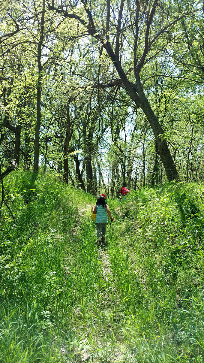 Nature trails just minutes from downtown offer the kind of green therapy urban dwellers pay therapists to describe. Kids instinctively know this is where adventures happen.