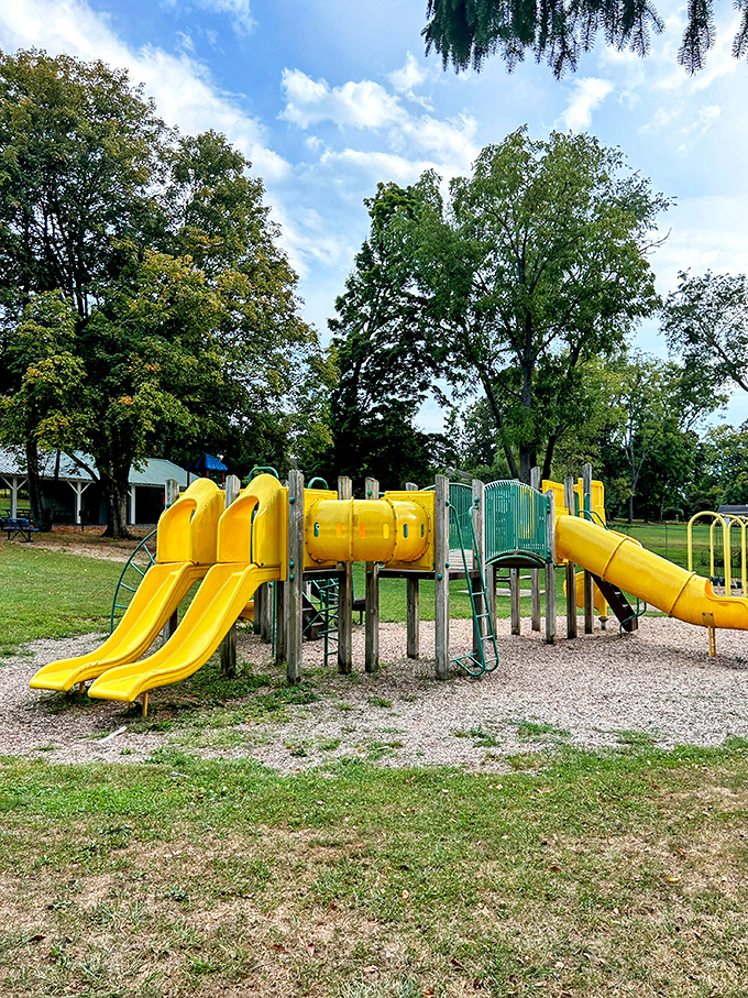 Childhood joy needs no fancy equipment—just yellow slides, sunshine, and the sound of laughter echoing across a small-town park.