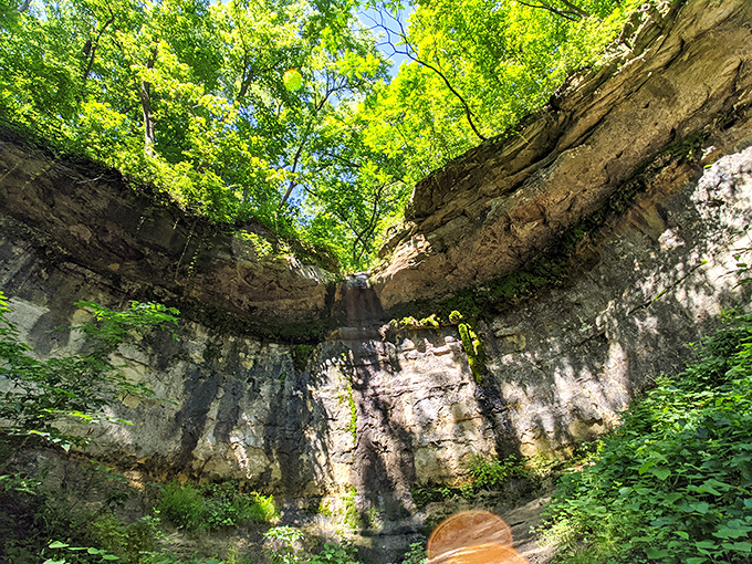 Ancient rock formations frame the forest like nature's own cathedral, minus the collection plate.