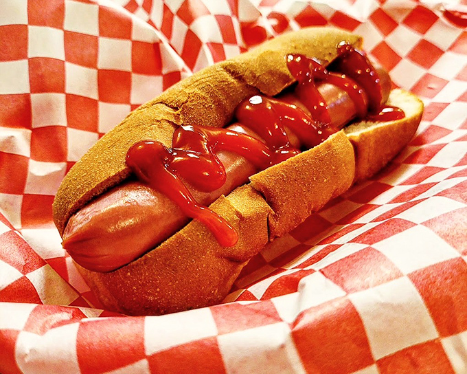 Behold the hot dog that inspired road trips, draped in ketchup and nestled in a bun that knows its purpose.