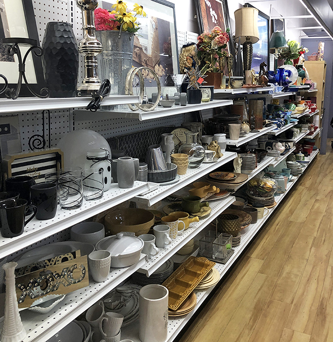 The housewares aisle: where someone else's "I don't need this anymore" becomes your "How did I live without this?" Treasure hunting at its finest.