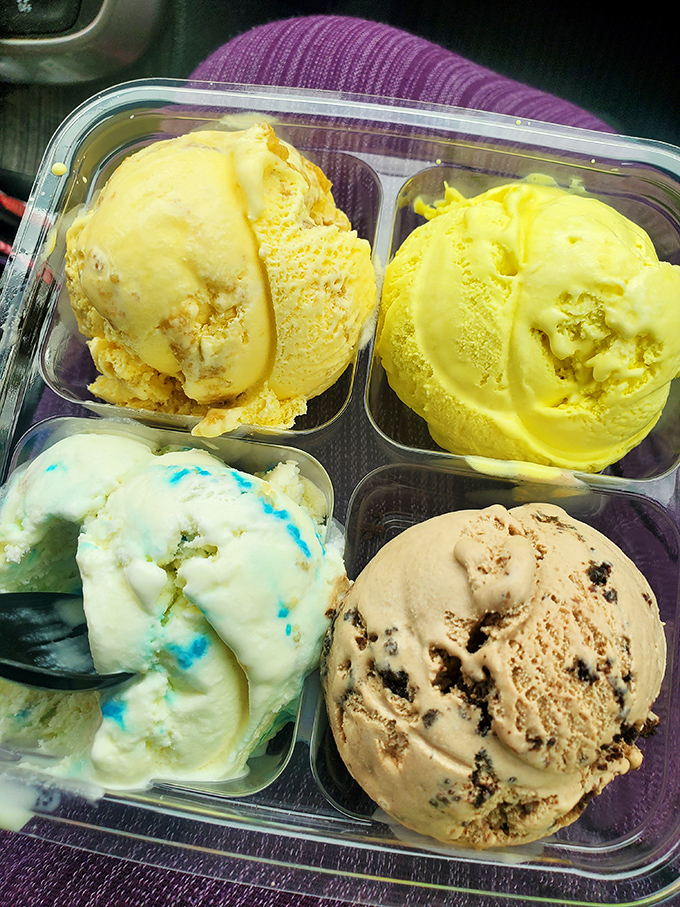Four scoops of creamy possibility in one container. Like choosing between favorite grandchildren, except this decision ends with everyone winning.