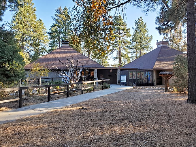 Where nature becomes the classroom. This center offers wilderness wisdom with architectural charm that whispers, "Come in, city slicker."