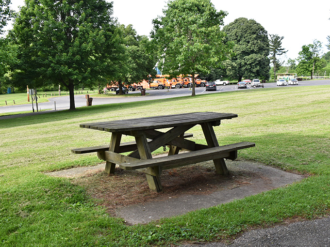 A lone picnic table waits patiently for families to create memories over sandwiches and potato salad&mdash;some of life's best conversations happen over paper napkins.