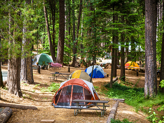 Inn Town Campground offers the great outdoors with actual bathrooms nearby – because roughing it shouldn't mean suffering.