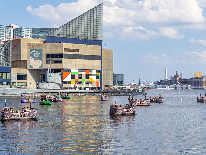 The National Aquarium's distinctive glass pyramid rises from the harbor like a modern-day Atlantis, where colorful boats drift by as if auditioning for a part in a maritime parade.